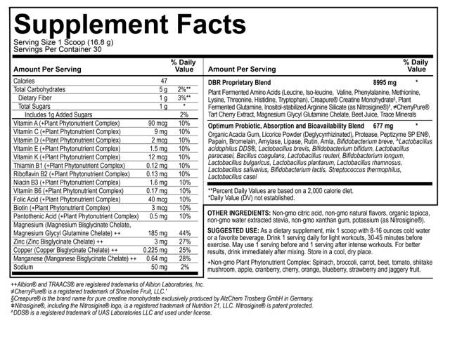 VITAL BODY DBR - Ultimate Performance, Endurance, and Recovery Powder ...